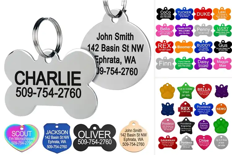 Pet Tags: Secure ID for Safe Returns – Good Taste of Home